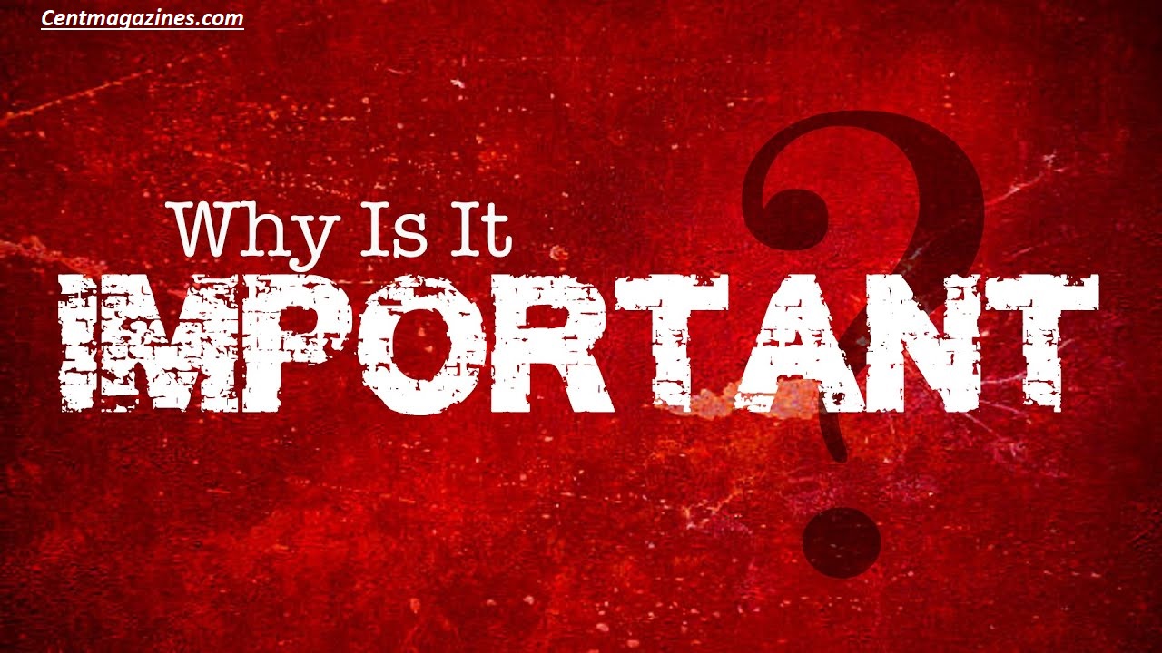 Why Is It Important? Meaning, Uses, and Real-Life Examples
